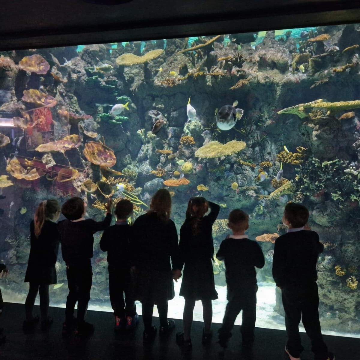 Conisbrough Ivanhoe Primary academy - Picture of the Week