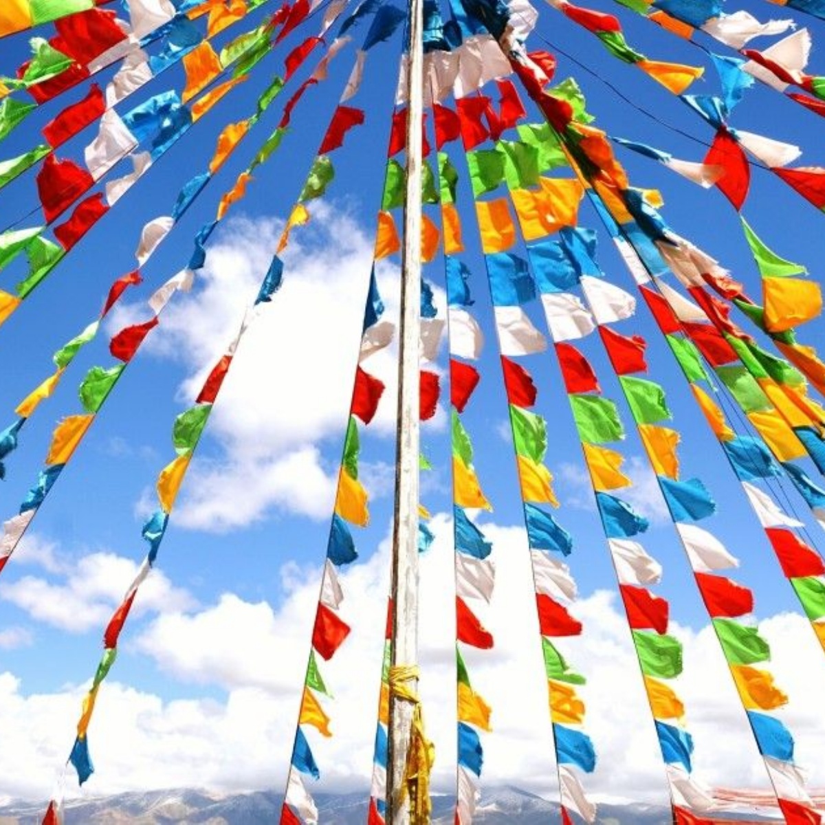 Conisbrough Ivanhoe Primary academy - Homework Front Cover