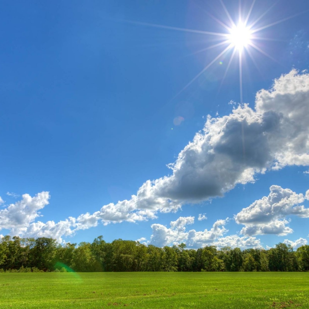 Conisbrough Ivanhoe Primary academy - Homework Front Cover