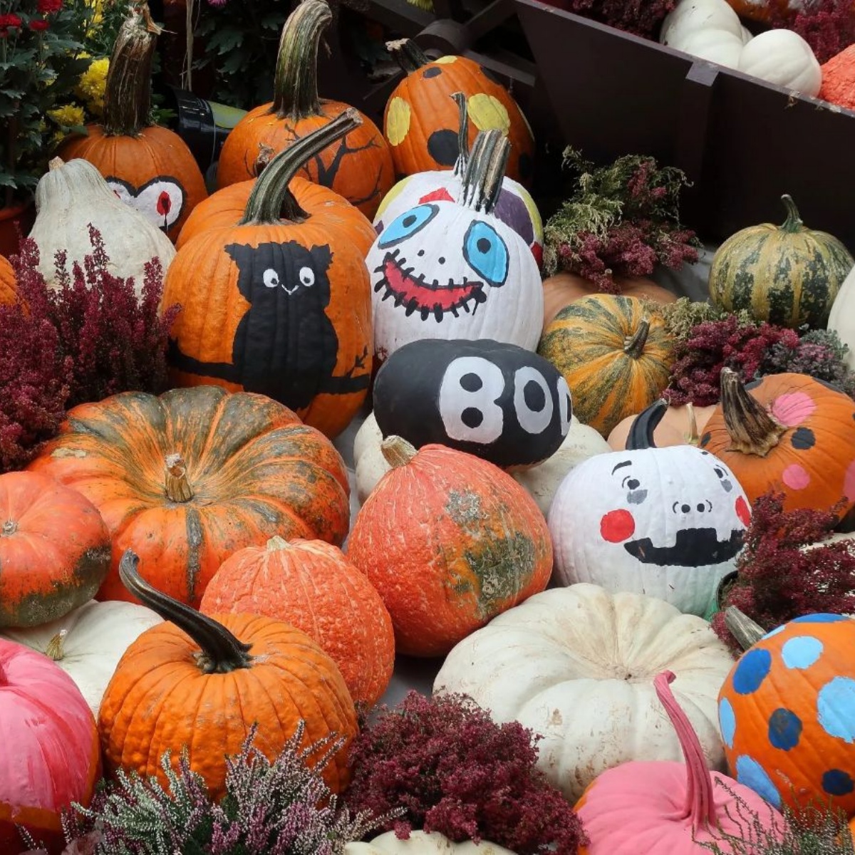 Conisbrough Ivanhoe Primary academy - Homework Front Cover