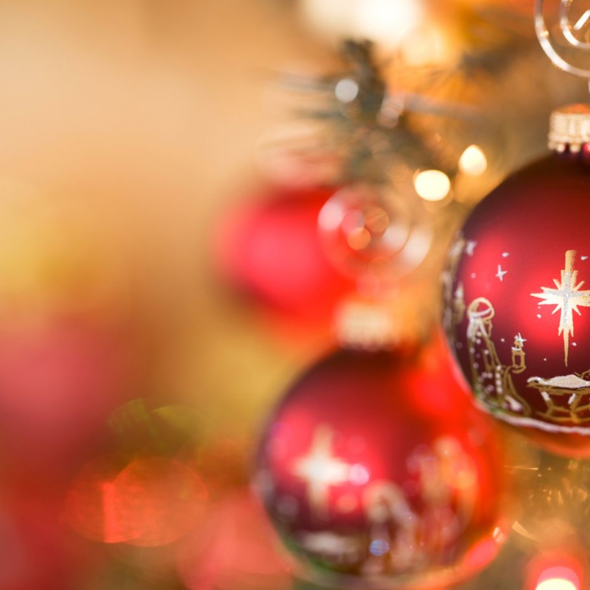 Conisbrough Ivanhoe Primary academy - Homework Front Cover