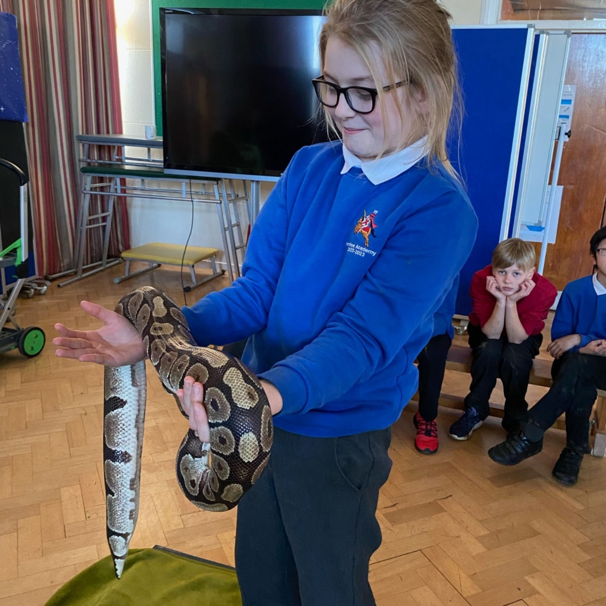 Conisbrough Ivanhoe Primary academy - Picture of the Week